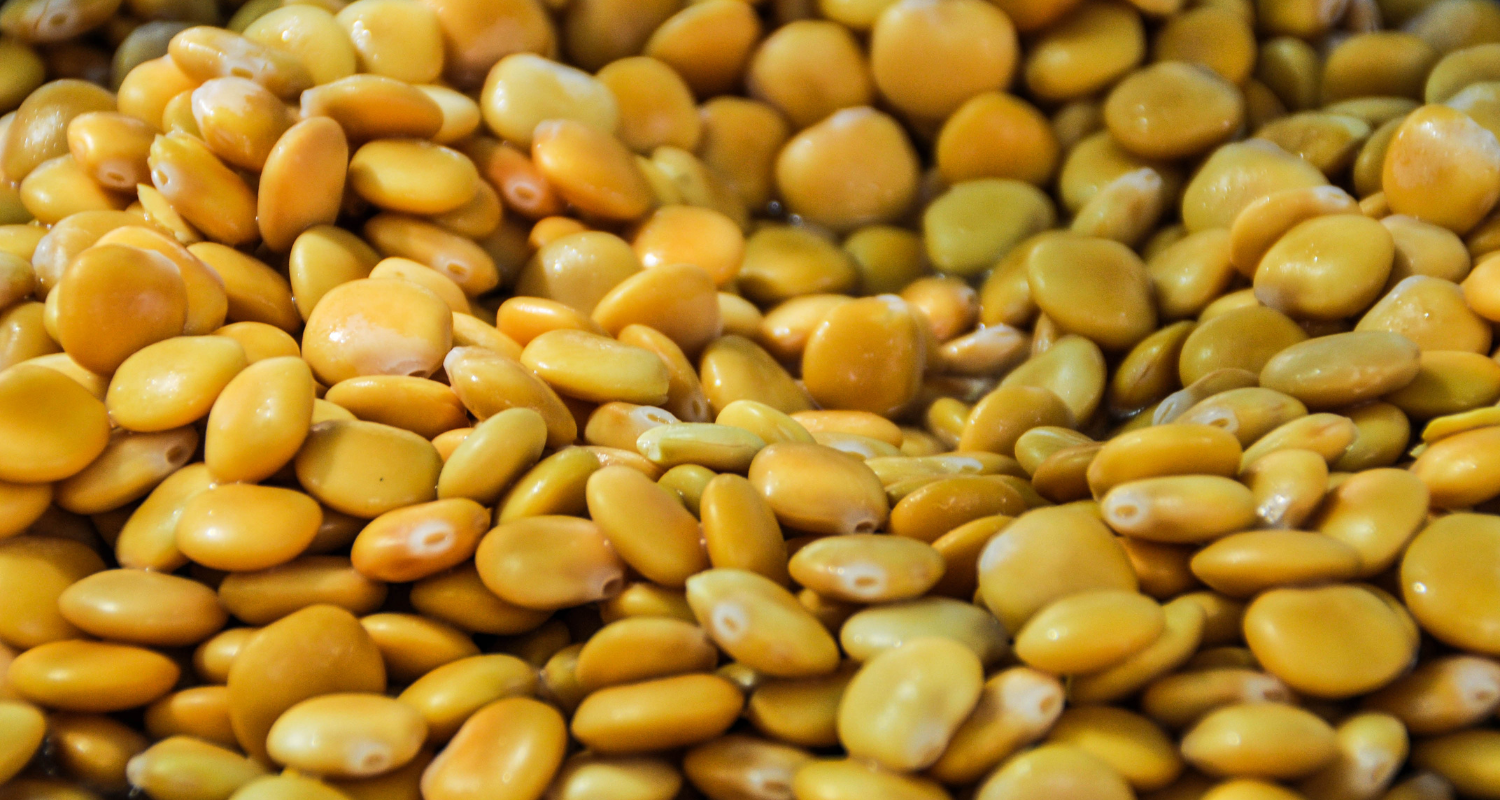 What Is A Lupin Allergy and Its Impacts? – Test My Food Sensitivity